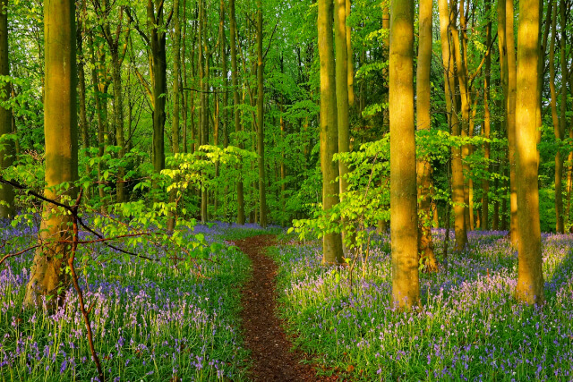 6 Circular Walks in the Cotswolds - Sykes Holiday Cottages