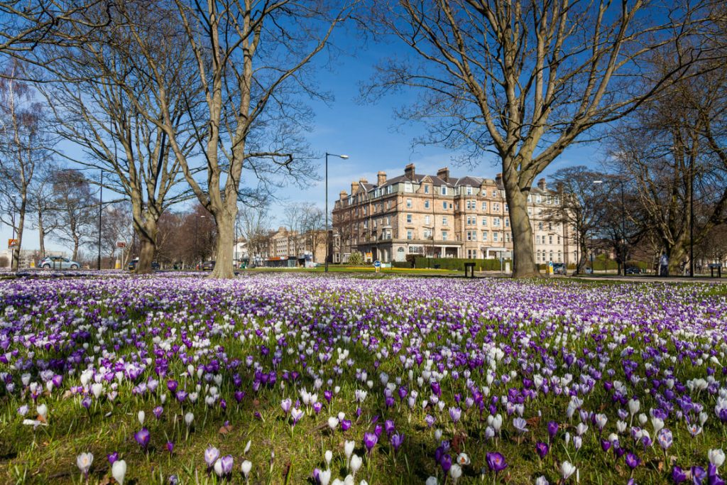 10 Places to Stay in North Yorkshire & Where to Visit | Sykes Cottages