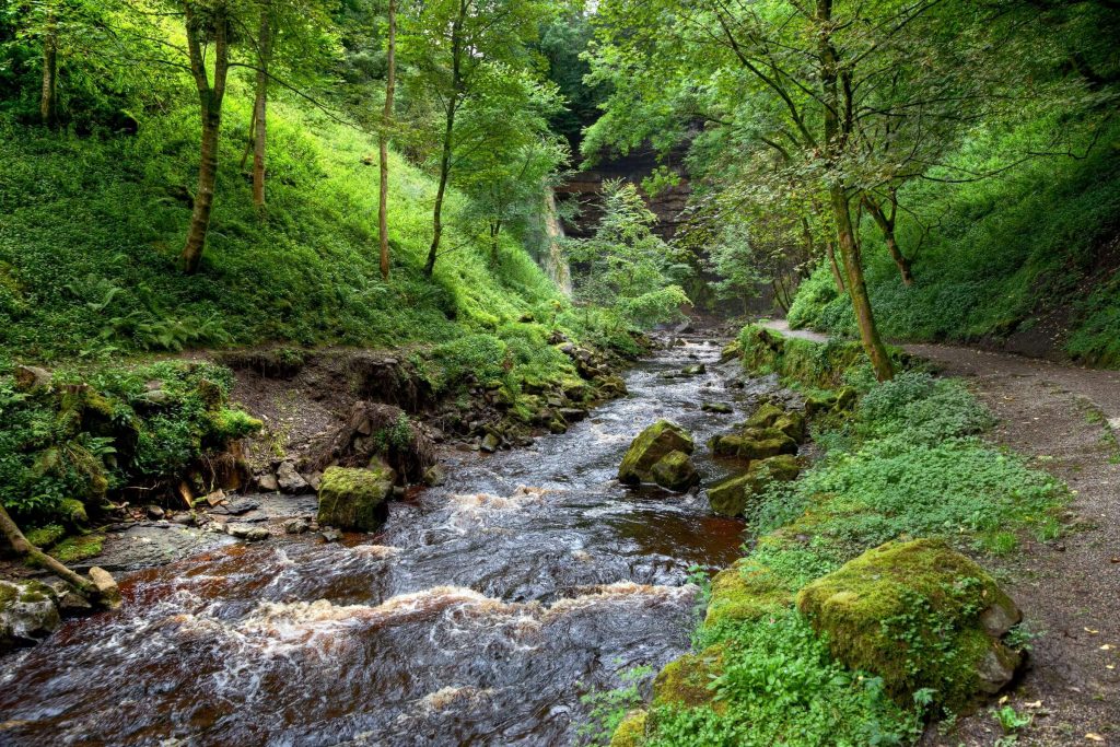 Things to do in Whaley Bridge | Top Attractions & Activities | Sykes ...