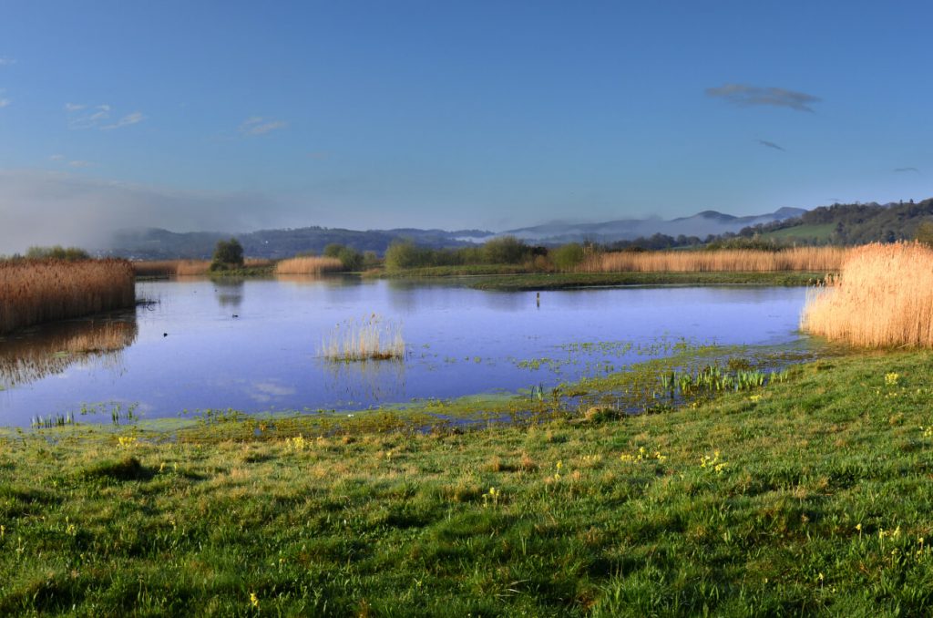 RSPB Conwy - Sykes Inspiration