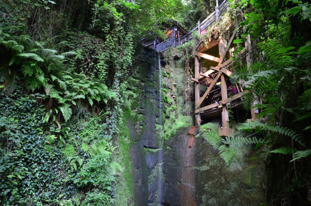 Shanklin Chine - Sykes Inspiration