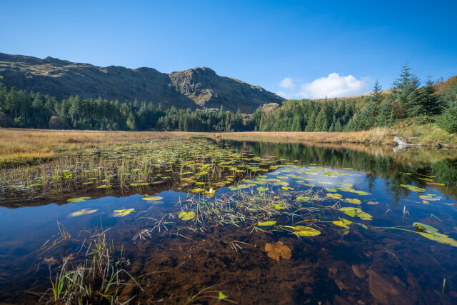 Harrop Tarn (Thirlmere) - Sykes Inspiration