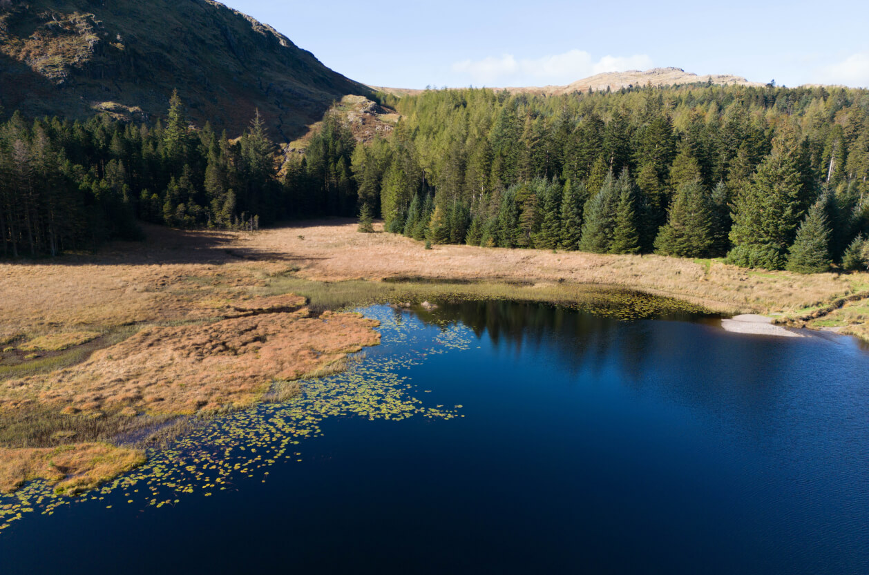 Harrop Tarn (Thirlmere) - Sykes Inspiration