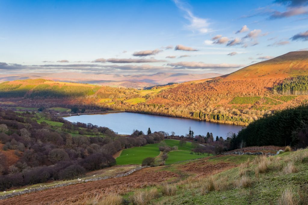 Welshpool and Llanfair Light Railway - Sykes Inspiration