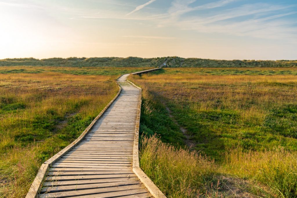 Dyserth to Prestatyn Way - Sykes Inspiration