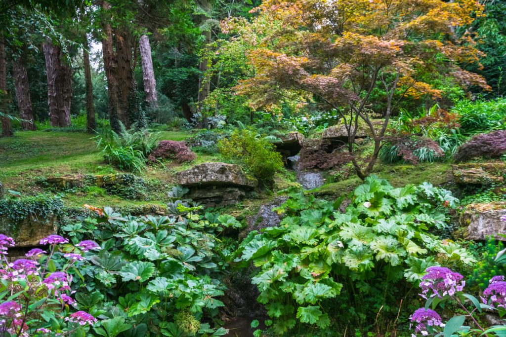 Rhyl Botanical Gardens - Sykes Inspiration